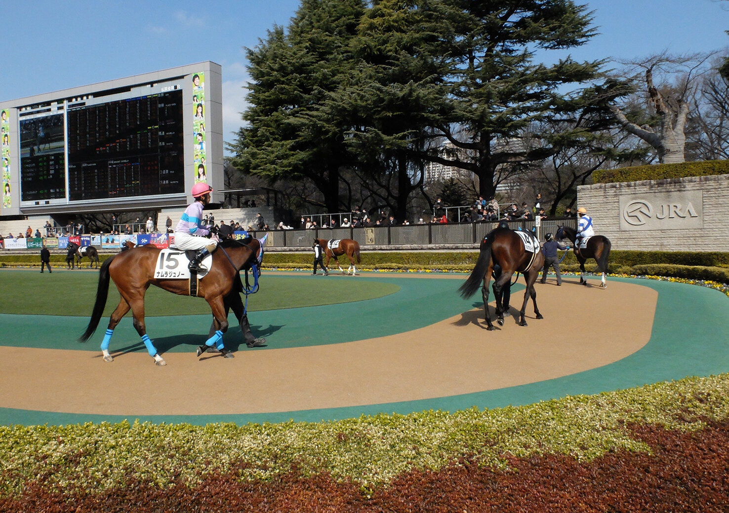 Something for Everyone at JRA's Tokyo Racecourse | TIPS