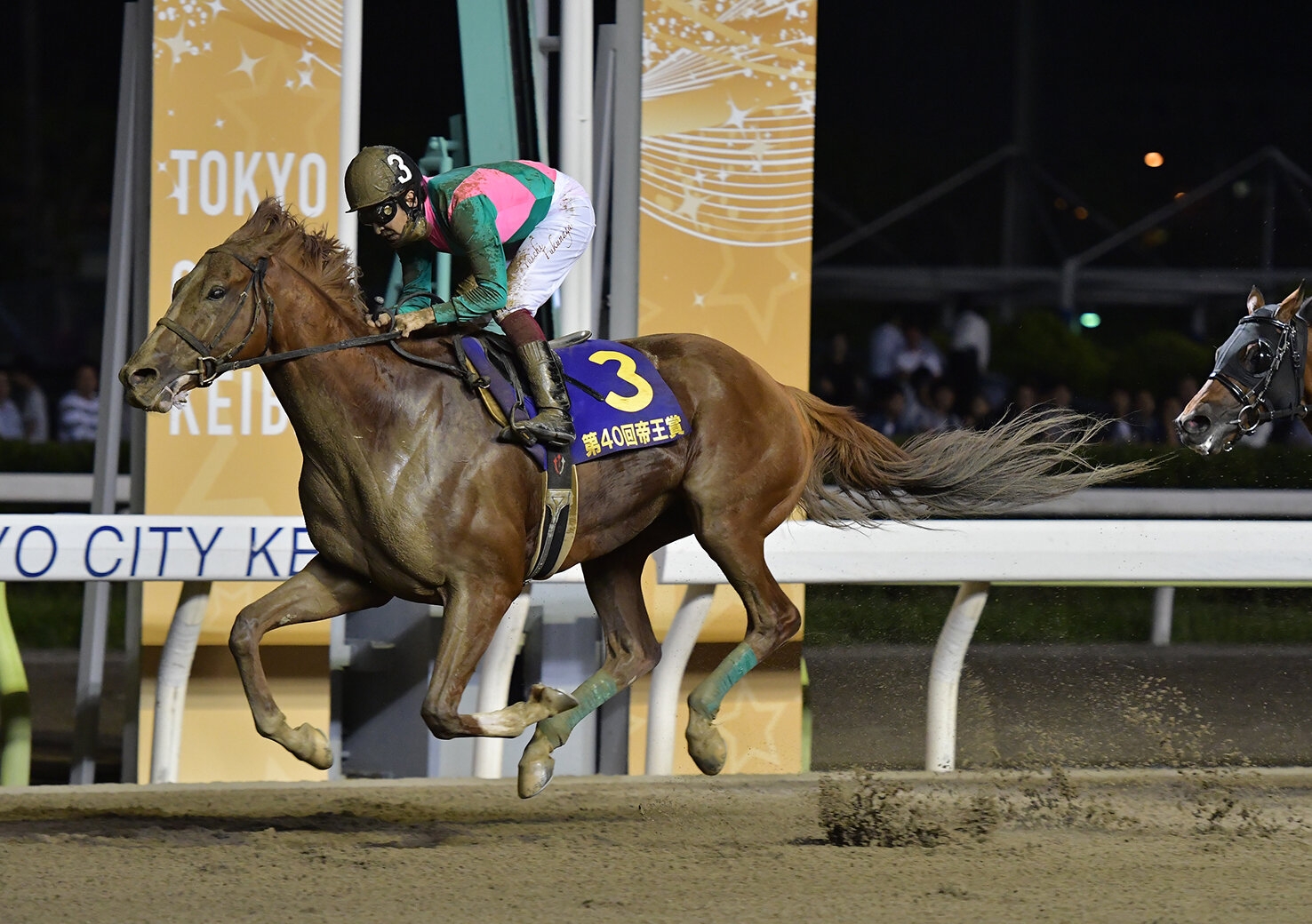 Something for Everyone at JRA's Tokyo Racecourse | TIPS