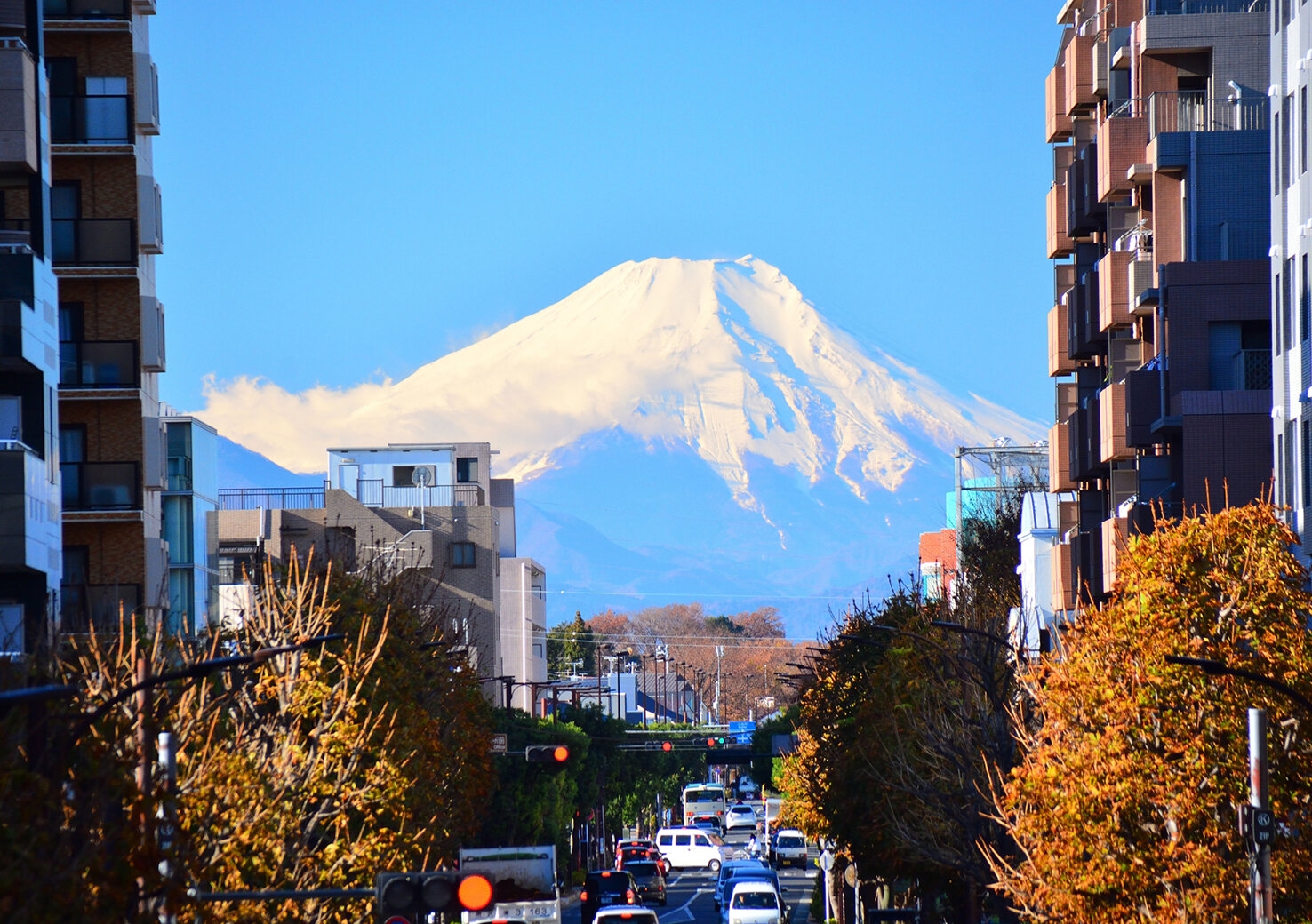 Even in Tokyo, Mount Fuji Is Never Far Away | TIPS
