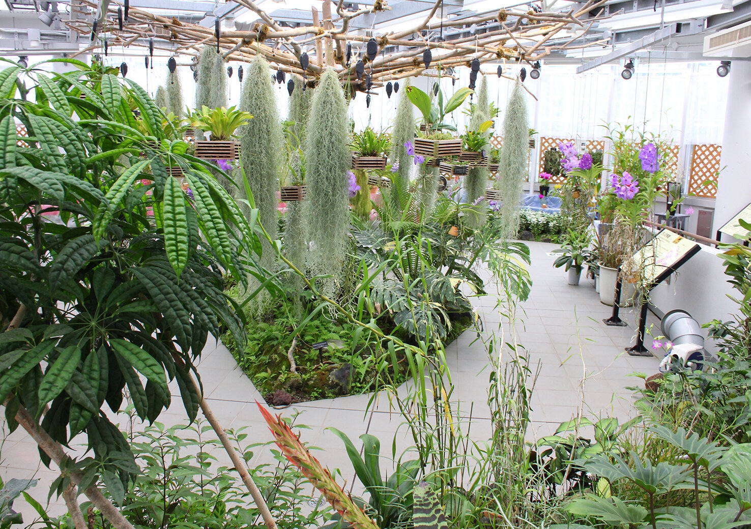 Find Your Zen in Chofu: Beyond Jindaiji Temple | TIPS