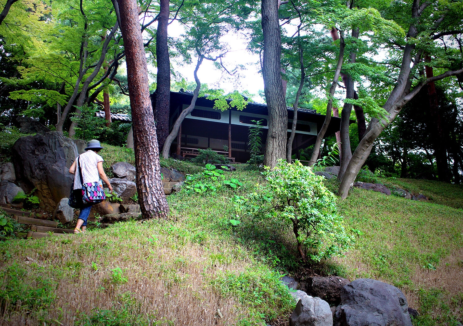 Gardens, Streams, and Stones: Explore the Unexpected Nature of ...
