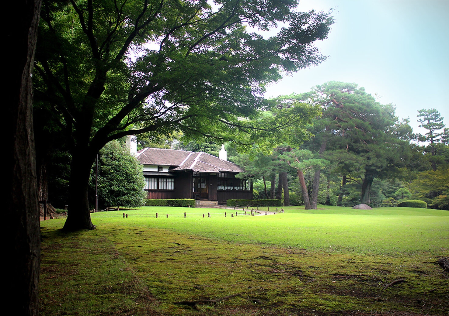 Gardens, Streams, and Stones: Explore the Unexpected Nature of ...