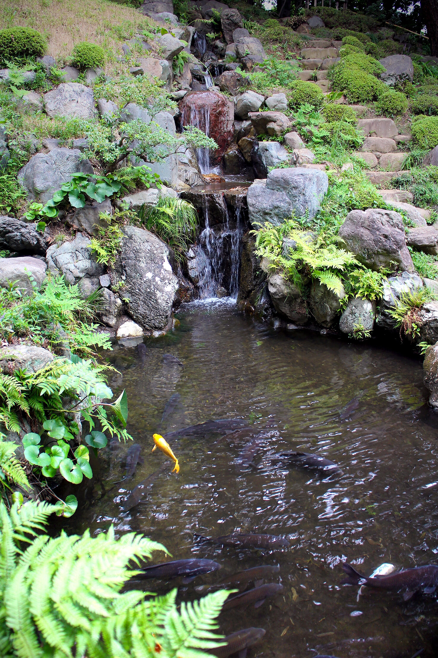 Gardens, Streams, and Stones: Explore the Unexpected Nature of ...