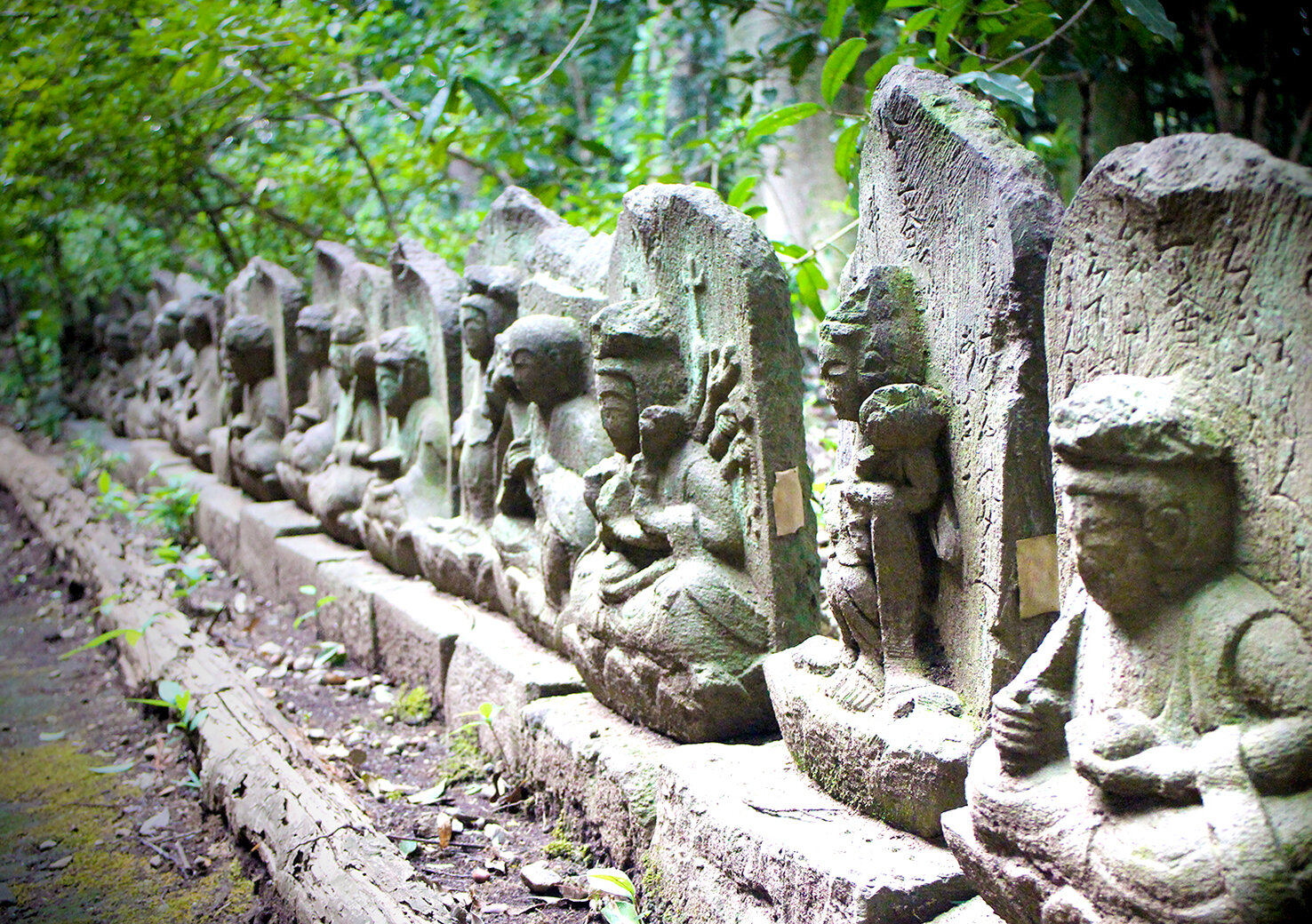Gardens, Streams, and Stones: Explore the Unexpected Nature of ...