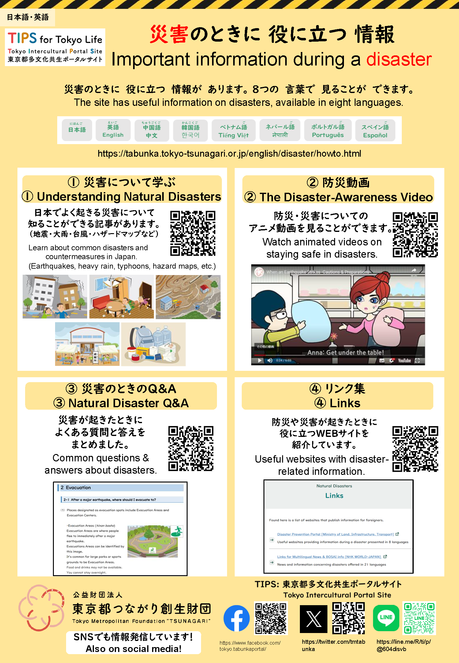 Disaster preparedness flyer | TIPS